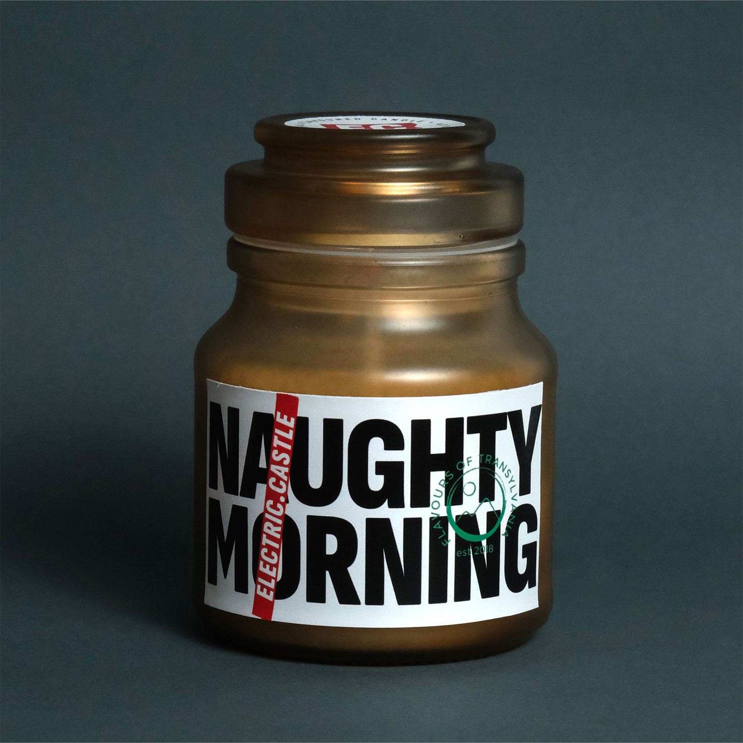 Shop | Electric Castle